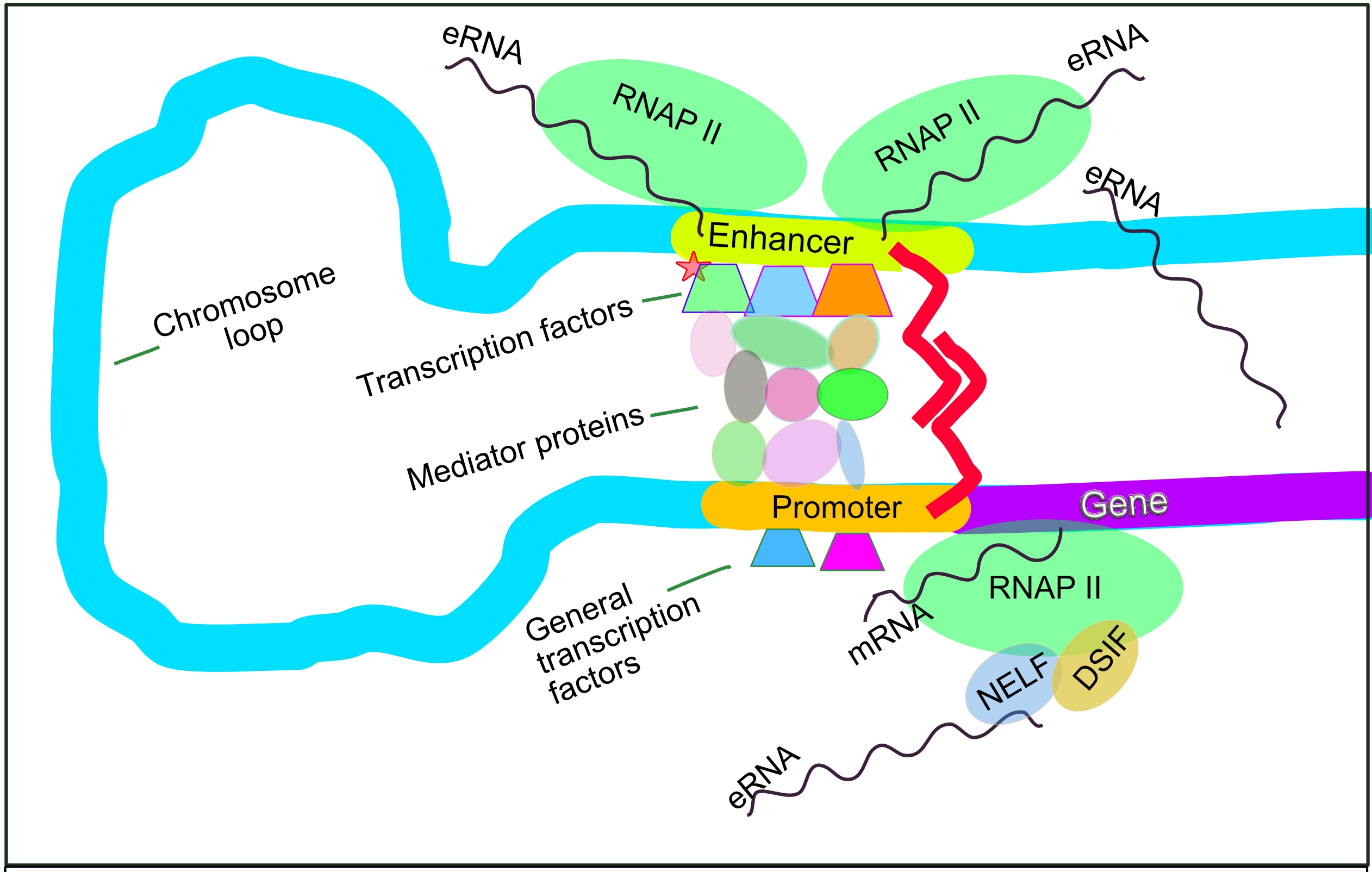 RNA previously dismissed as “noise” now shown to produce functional ...